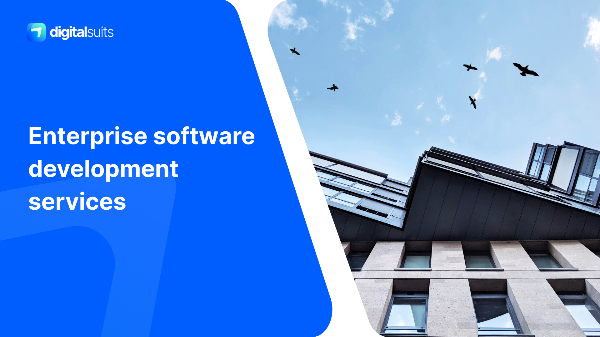Enterprise Software Development Company | DigitalSuits
